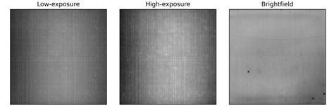 Figure S2 Microscopy Denoising Results Compared To Low Exposure And Download Scientific