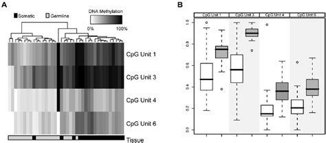 unsupervised hierarchical clustering of the level of methylation of dna