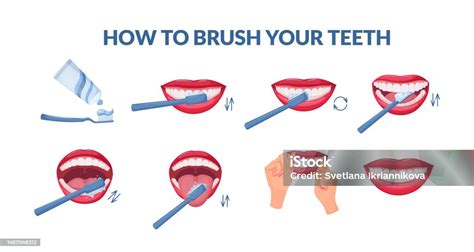 How To Brush Your Teeth Step By Step Instruction Stock Illustration Download Image Now