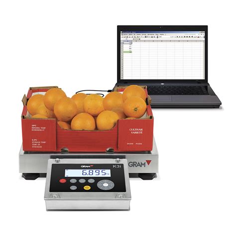 Gram K3i Indicator Gram Group · Weighing Systems