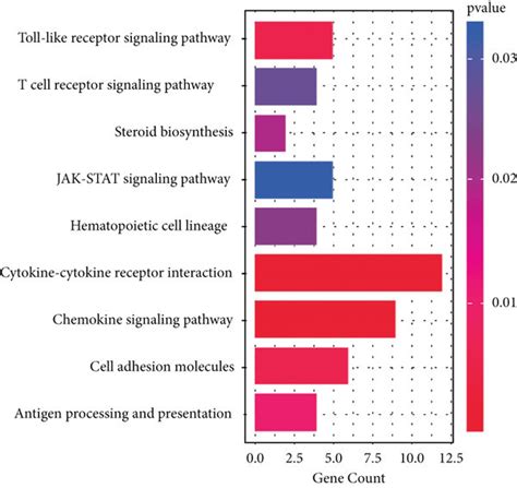 Analysis Of Gene Ontology Biological Process Go Bp And Kegg Pathways