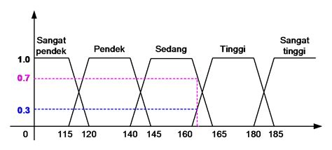 model fuzzy sugeno skripsi teknik informatika