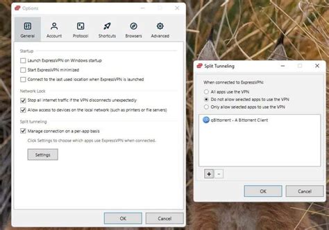 How To Set Up And Use A VPN A Beginners Guide