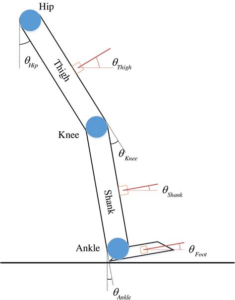 A Se Densenet Lstm Model For Locomotion Mode Recognition In Lower Limb Exoskeleton Peerj
