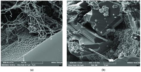 The Typical Structures Of Silicon Nitride Bonded Silicon Carbide A