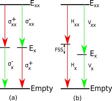 Schematic Illustration Of The Light Polarization Properties Of Photons Download Scientific
