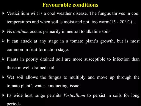 Tomato Verticillium Wilt Pptx Gardening Home And Garden