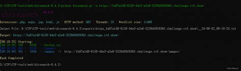Ctfshow Web入门 信息搜集（web11 Web20） 优速盾