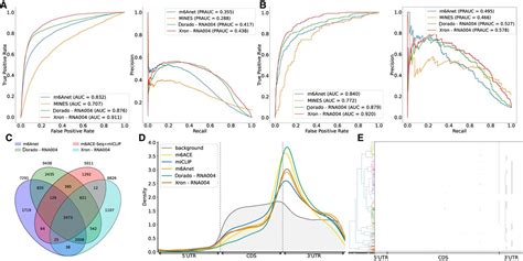 detecting m6a rna modification from nanopore sequencing using a