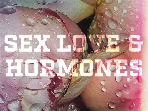 Love Hormones The Chemicals That Effect Our Lust