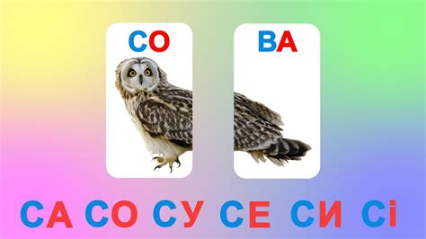 Склади з буквою С Читаємо склади Читаємо слова по складах Youtube