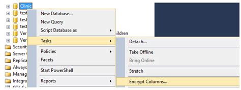 Encryption How To Enable Column Always Encrypted In Sql Server 2016