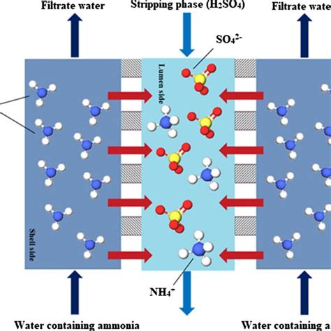 Schematic Diagram Of The Membrane Distillation Setup Download