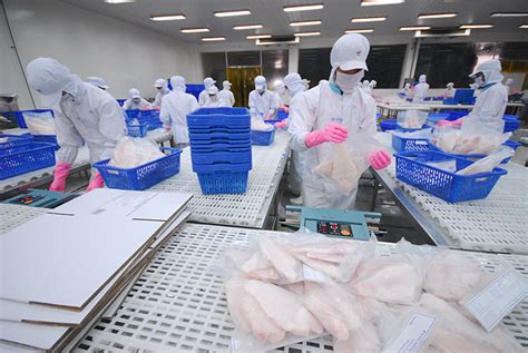 Xuất khẩu cá tra khởi sắc Tạp chí Thủy sản Việt Nam