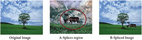 Illustration Of Image Forgery Splicing Download Scientific Diagram