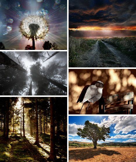 Natural Light And Shadow Photography