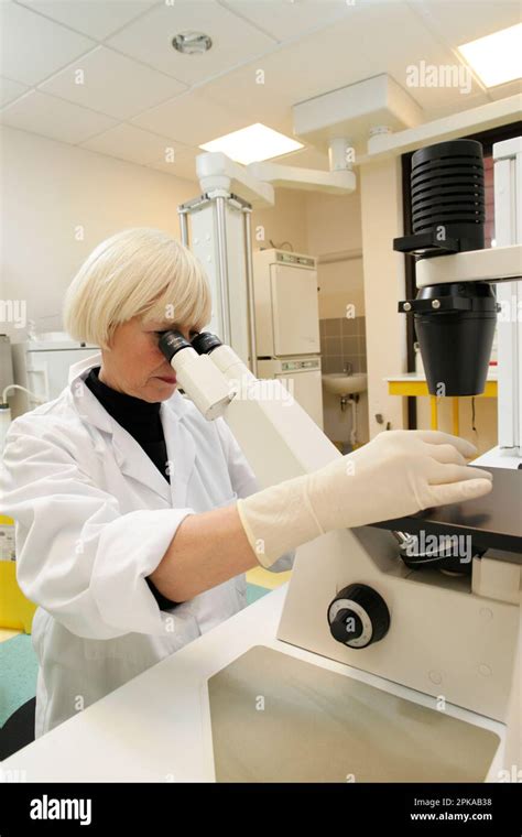 Cytogenetics Laboratory Verification Of The Stage Of The Cultures