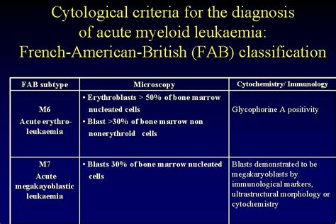 Acute Myeloid Leukemia Malignant Clonal Disorder Of Immature