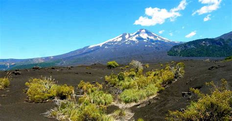Conguillio National Park And Tour Zum Vulkan Llaima Bei Temuco
