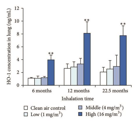 Concentration Of Ho 1 In Rat Lungs Exposed To Toner A Ho 1 In Lung Download Scientific