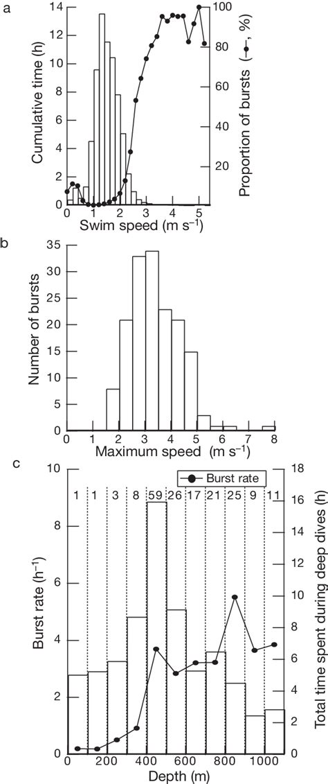 Physeter Macrocephalus A Distribution Of Swim Speed During Deep Download Scientific Diagram