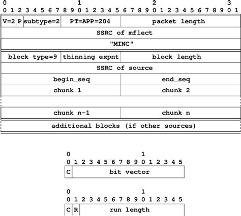 4 Rtcp Packet Format For Minc Reporting Download Scientific Diagram