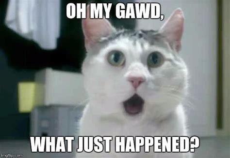 What Just Happened Meme