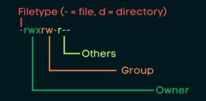 7 Linux Commands To Easily Manage File Permissions RaspberryTips