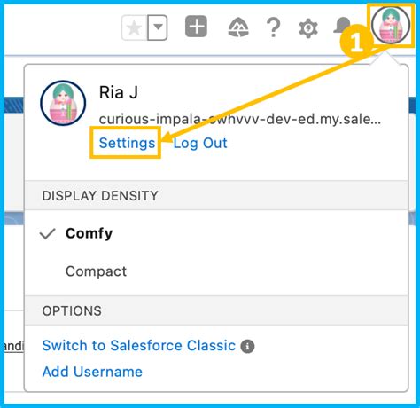 Multiple Currency Settings In Salesforce Go Coding