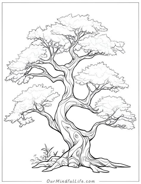 Pin By Chahu On Pins By You Trees Art Drawing Tree Sketches Tree