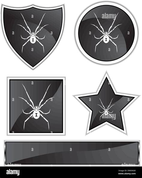Image Of Spider Stock Vector Images Alamy