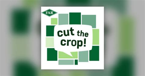 Identifying Maize Yield Robbers Cut The Crop Omny Fm