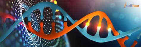Data Science In Healthcare Applications And Use Cases