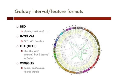 The Galaxy Bioinformatics Workflow Environment