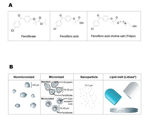 A Chemical Structure Of Fenofibrate And Fenofibric Acid B Download Scientific Diagram