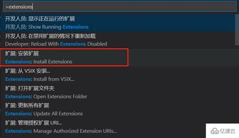 vscode怎么安装插件 软件技术 亿速云