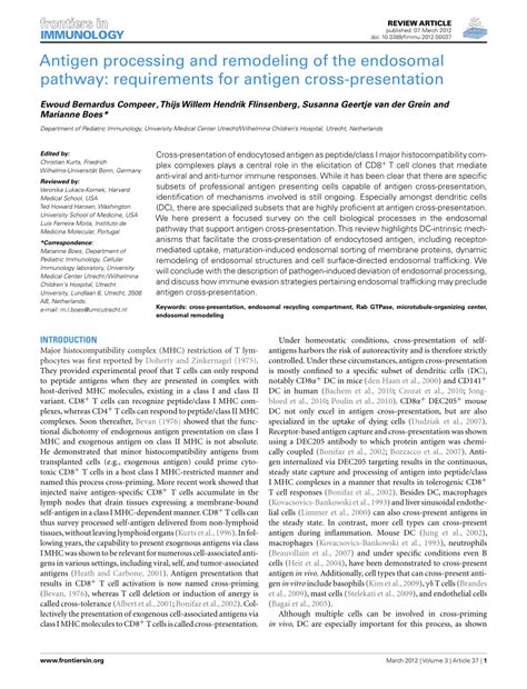 Pdf Antigen Processing And Remodeling Of The Endosomal Pathway