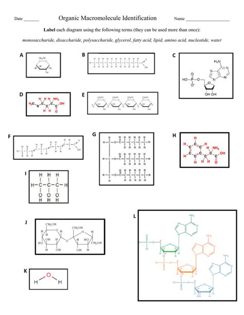 Organic Macromolecule Identification Worksheet