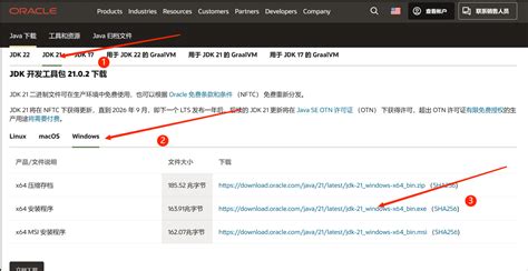 多个 JDK 版本Java Java Java 下载和切换 xd 博客园