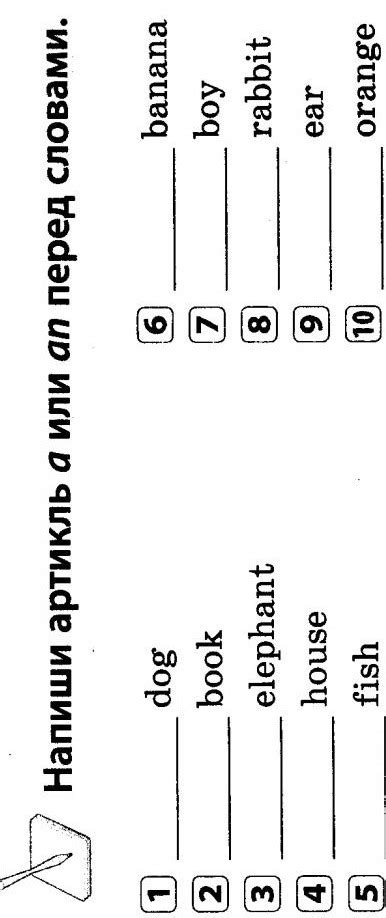 2 класс Тренировочные задания по артиклям A An