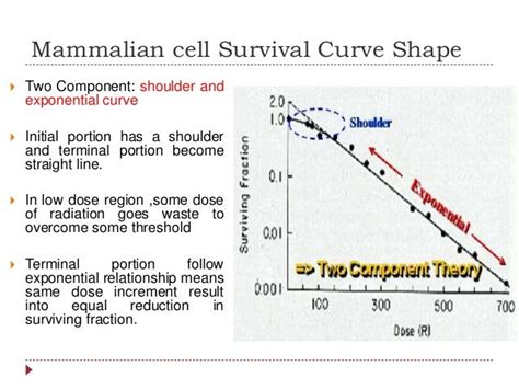 Cell Survival Curve