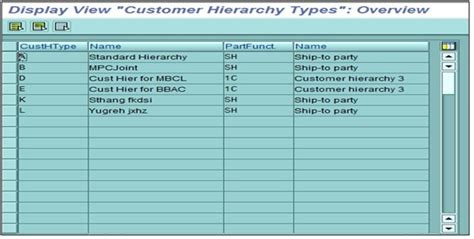 Customer Hierarchy In Automotive Industry SAP Community
