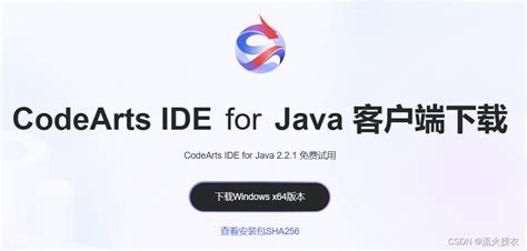 java入门：1 1 编译器（codearts ide for java） java编译器 csdn博客