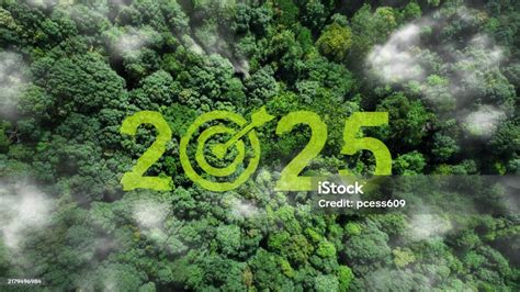 2025 새해 목표와 지속 가능한 환경 목표를 위한 녹색 사업 계획 및 개발2025 숲의 푸른 잔디에 대한 상징 및 목표 2025년 내년도 새로운 목표 계획 비전 2025