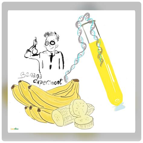 Banana Dna Stripping Banabio S A