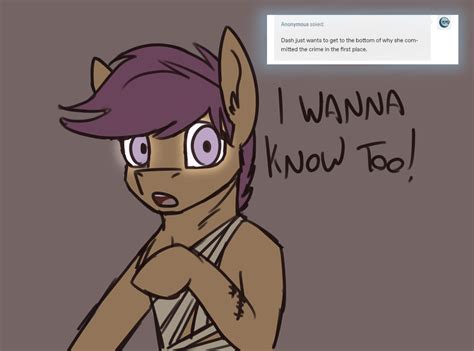 Ask Distorted Dash Discontinued