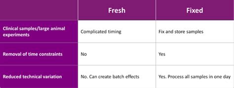 Getting Started With Scrna Seq Experimental Design And Sample Preparation Parse Biosciences