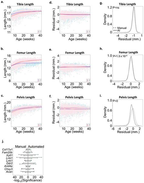Bioengineering Free Full Text Deep Learning Based Automated