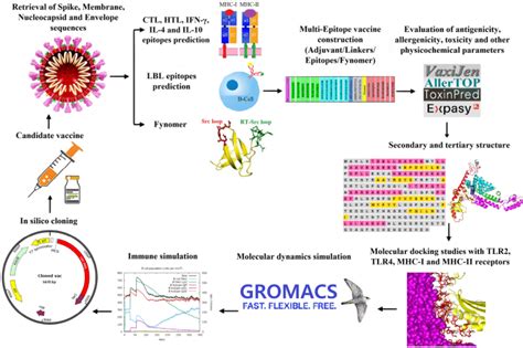 Immunoinformatics Design Of A Structural Proteins Driven Multi Epitope