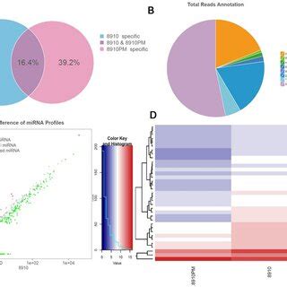 MiRNA Microarray Information Of Exosomes Derived From OC Cells